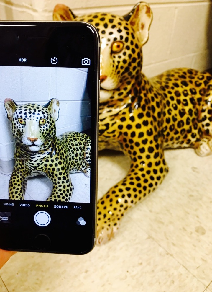 Sarah Linville | Media Arts I