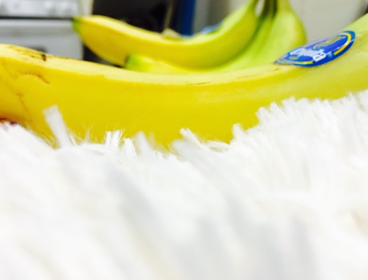 Sarah Linville | Media Arts I