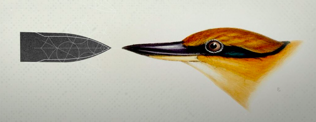 Contextualizing Biomimicry: Birds and Trains – Biomimicry & Sustainability