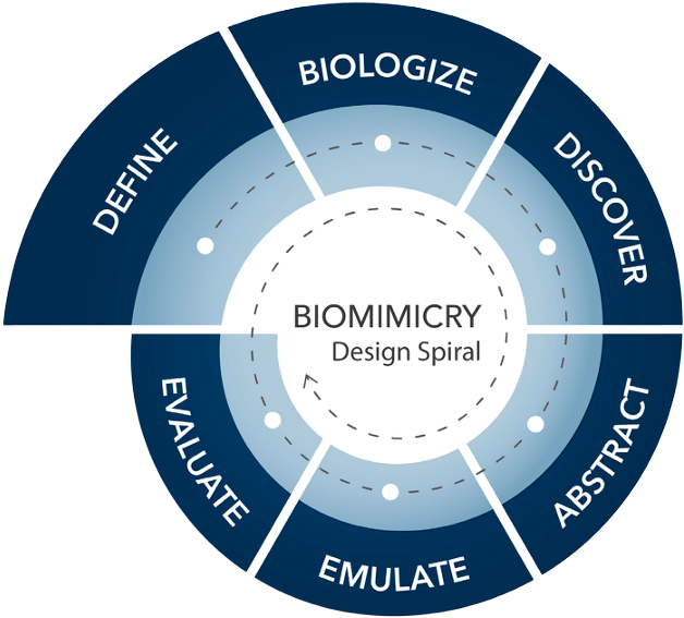 Biomimicry Design Principles – Biomimicry & Sustainability