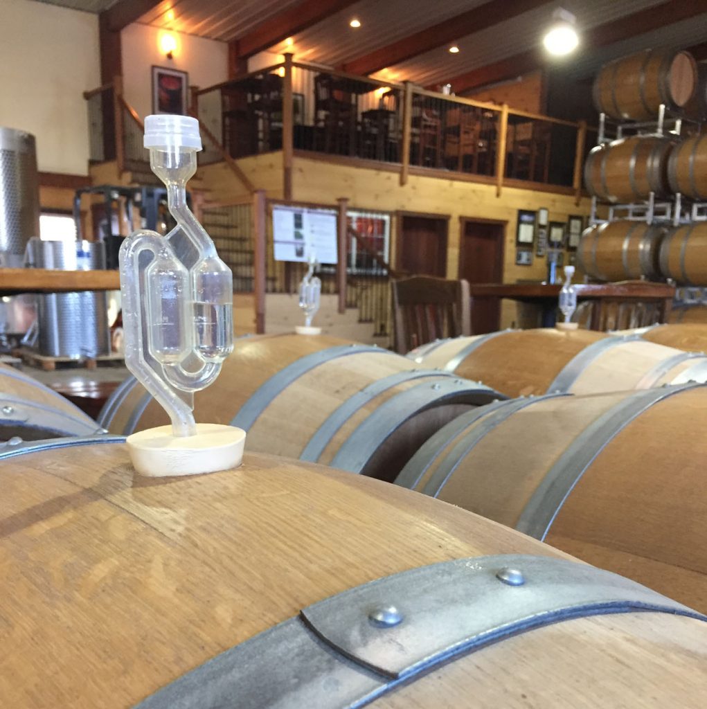 Fluids are Cool Gallery – some past submissions | David Brandes