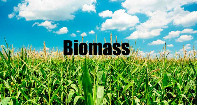 Biomass – Renewable Energy Sources