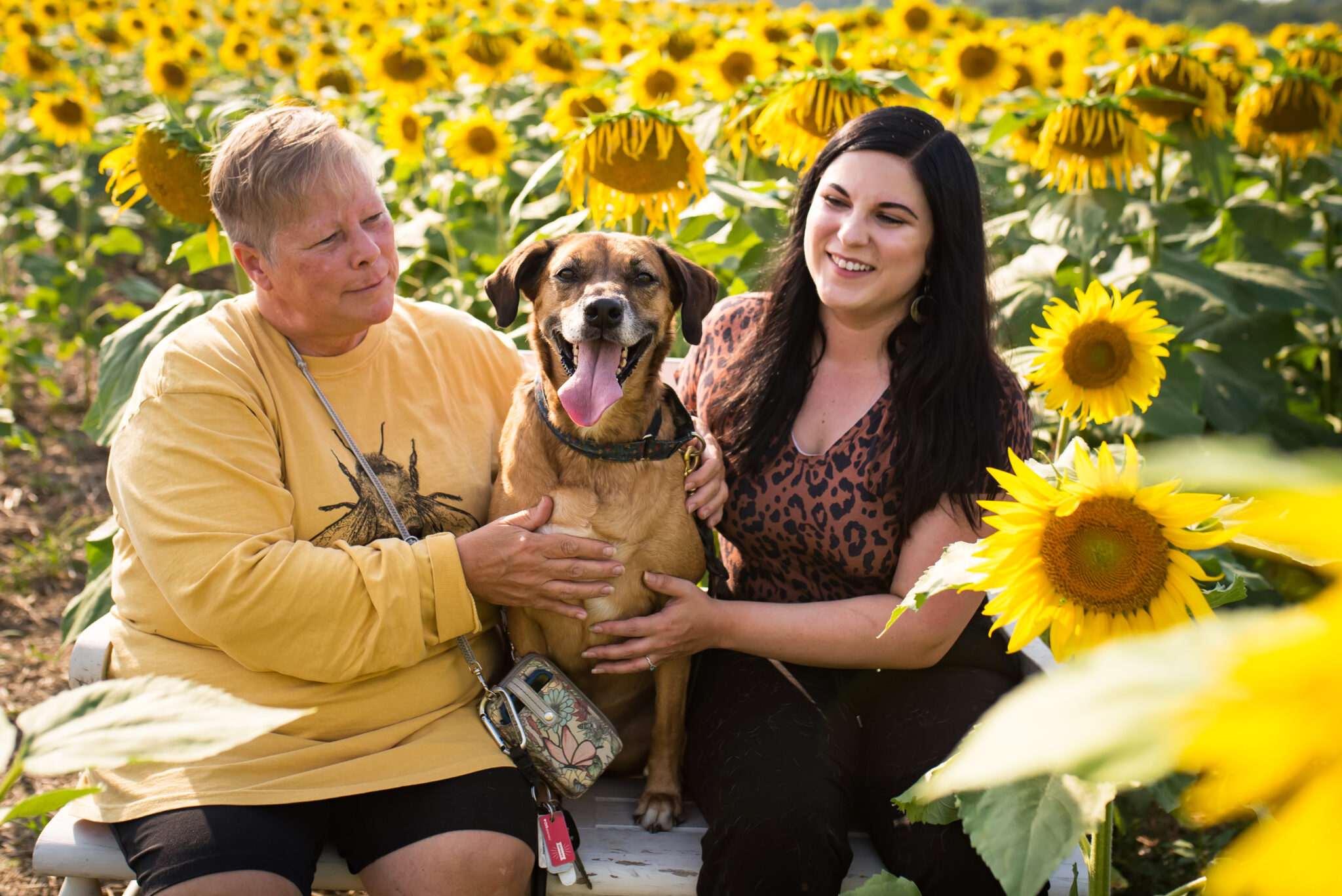Elaine Reynolds and Piper – Dogs of Lafayette