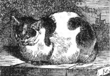 The Girl’s Own Annual Paper – Nineteenth-Century British Novel