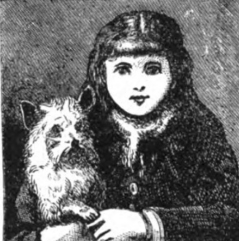 The Girl’s Own Annual Paper – Nineteenth-Century British Novel