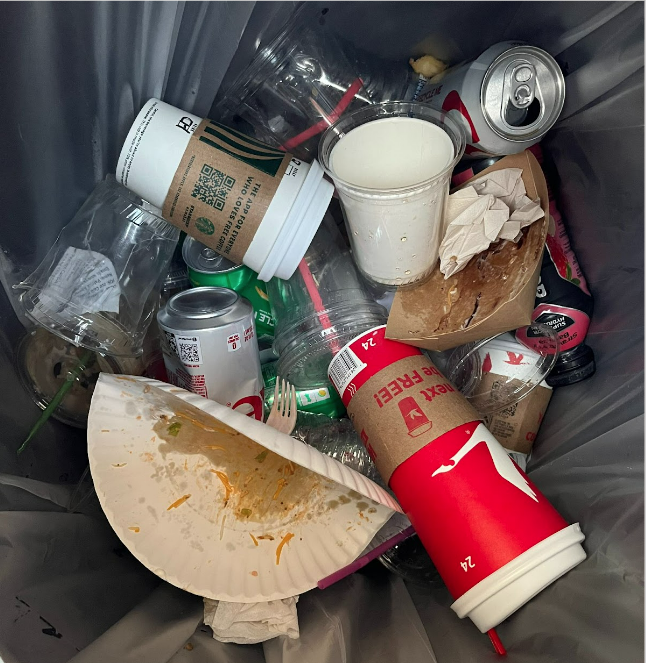 Problem Discovery and Selection – Engineers for Sustainable Waste ...