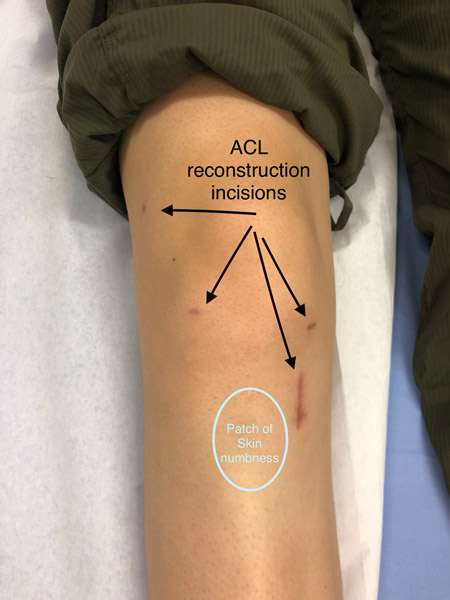 Prototype Description and Intent (Oasis) – ARID