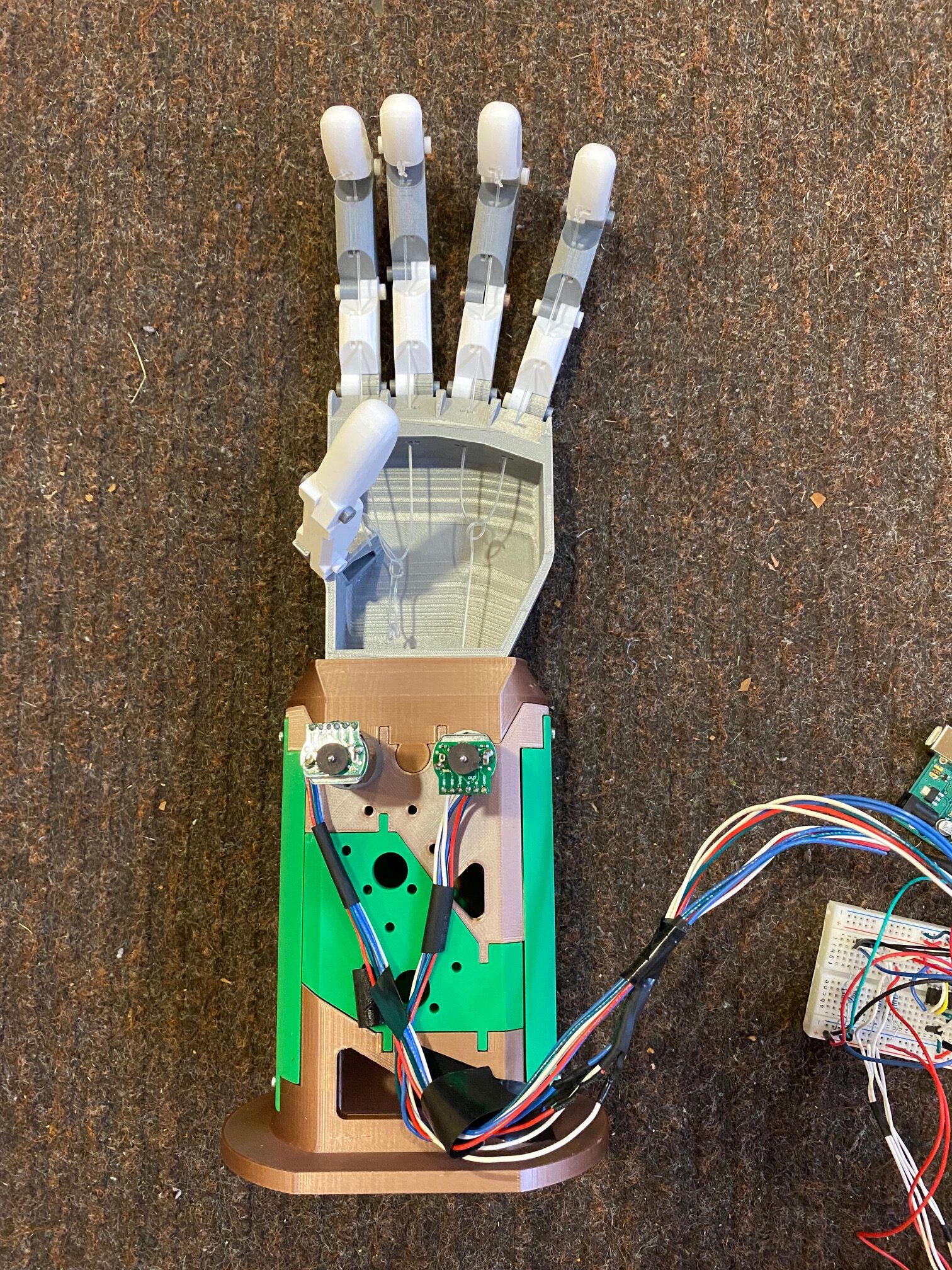 Prototype and Testing – Viral Solutions