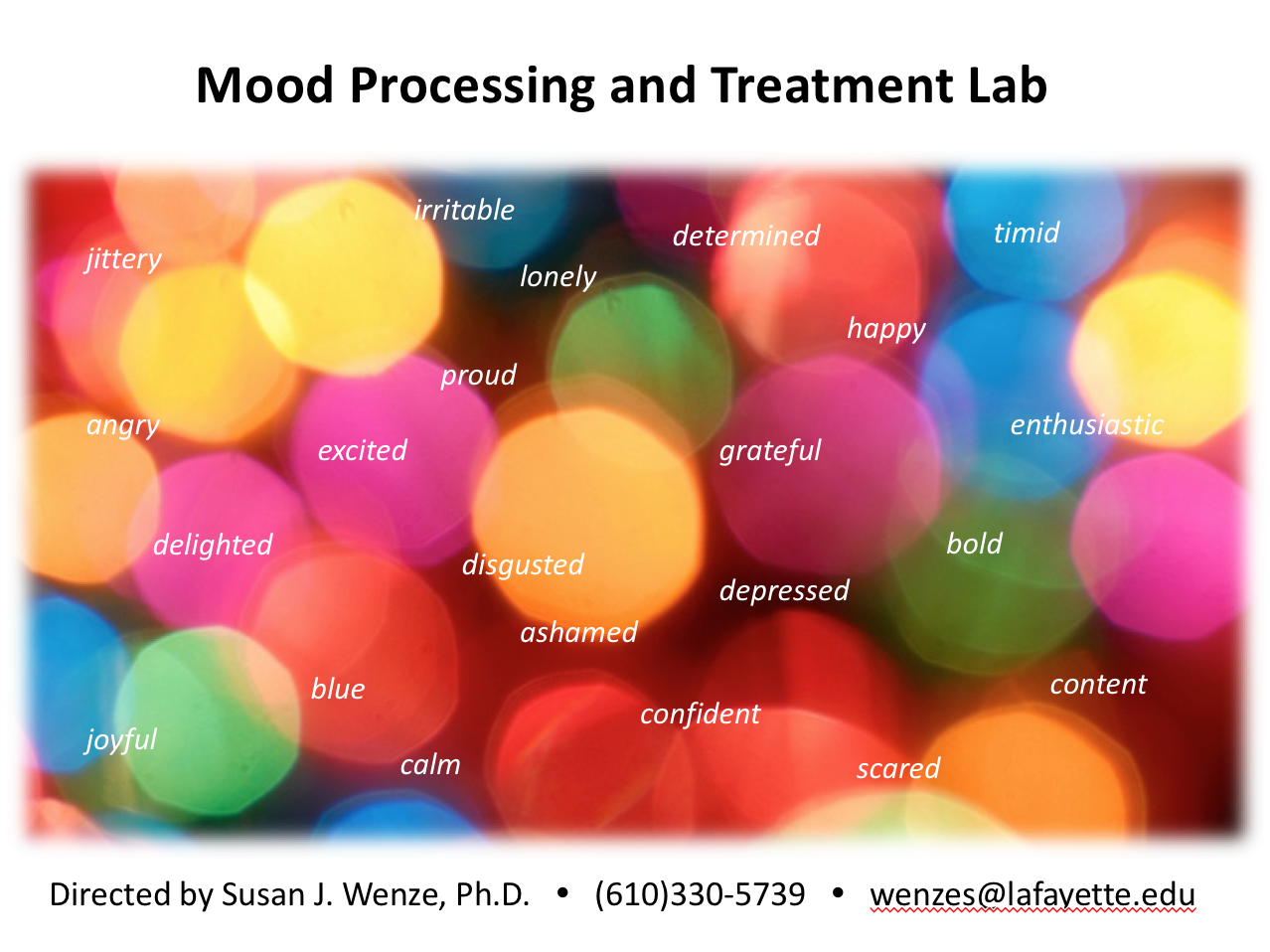 Mood Processing & Treatment Lab – Susan J. Wenze, PhD
